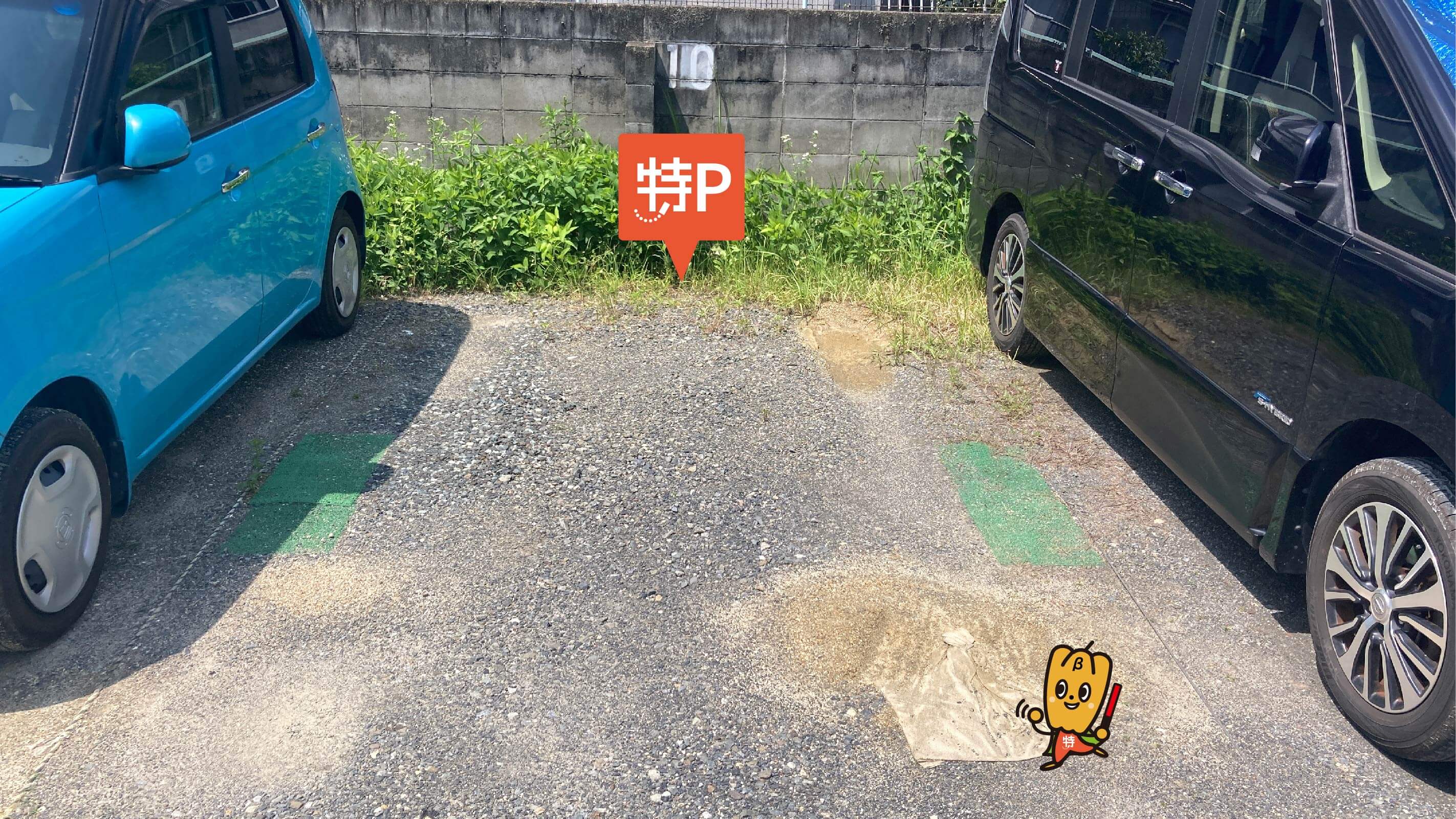 くずはモール から【 近くて安い 】駐車場｜特P (とくぴー)